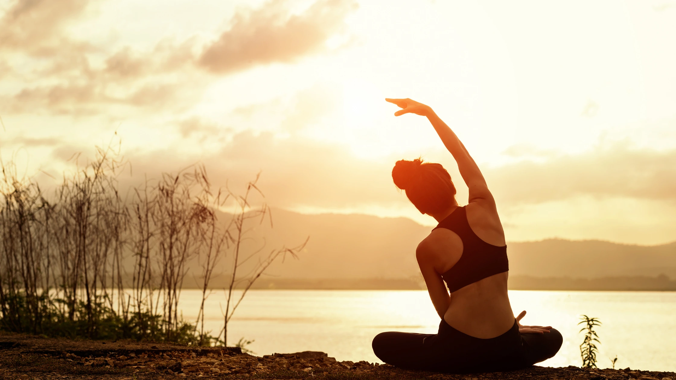 Yoga & Wellness Retreats in India for Relaxation – Travogy